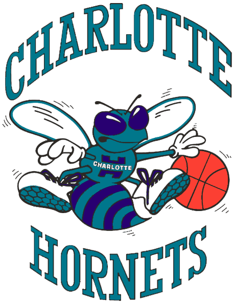 Charlotte Hornets Color Codes Hex, RGB, and CMYK - Team Color Codes