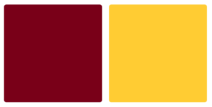 Minnesota Golden Gophers Color Codes Hex, RGB, and CMYK - Team Color Codes