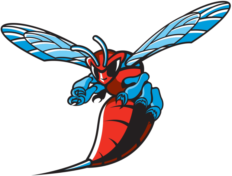 Delaware State Hornets Color Codes Hex, RGB, and CMYK - Team Color Codes