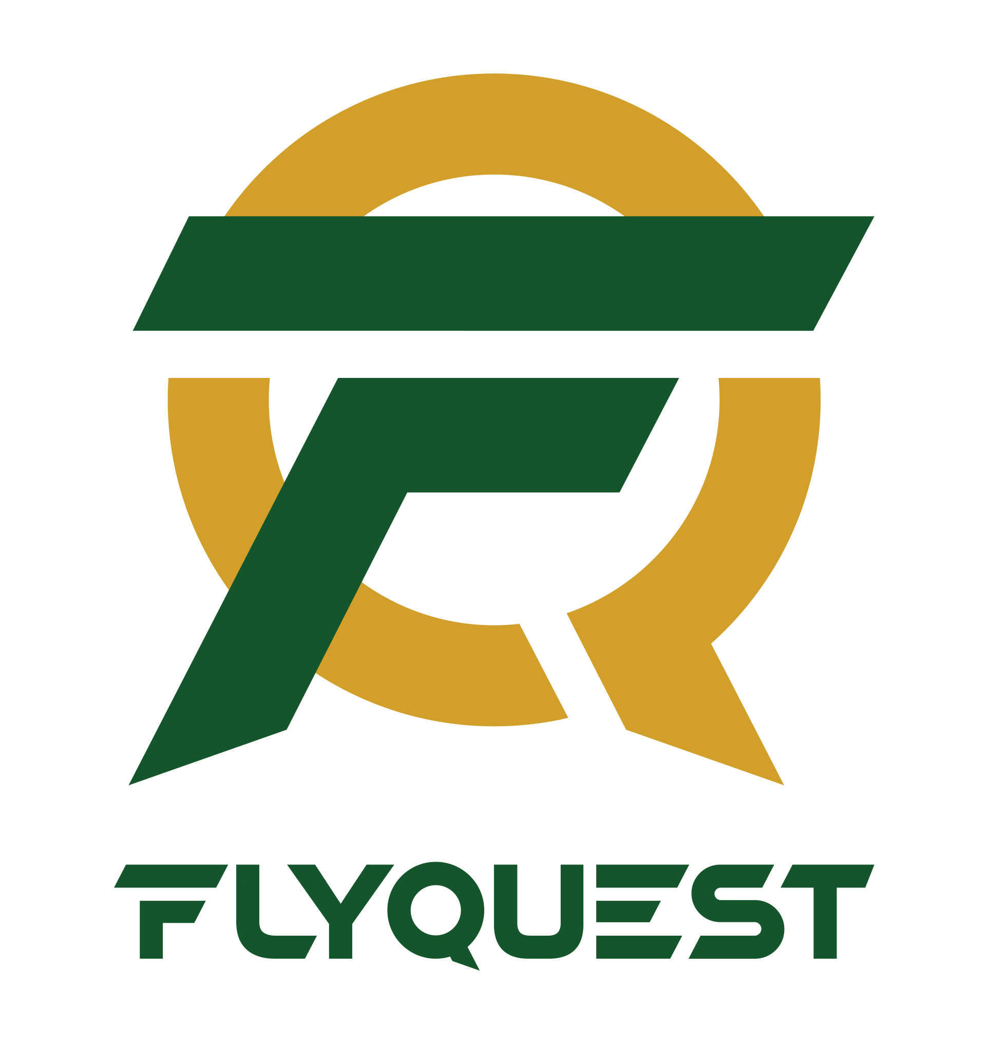 FlyQuest Colors Hex, RGB, and CMYK - Team Color Codes