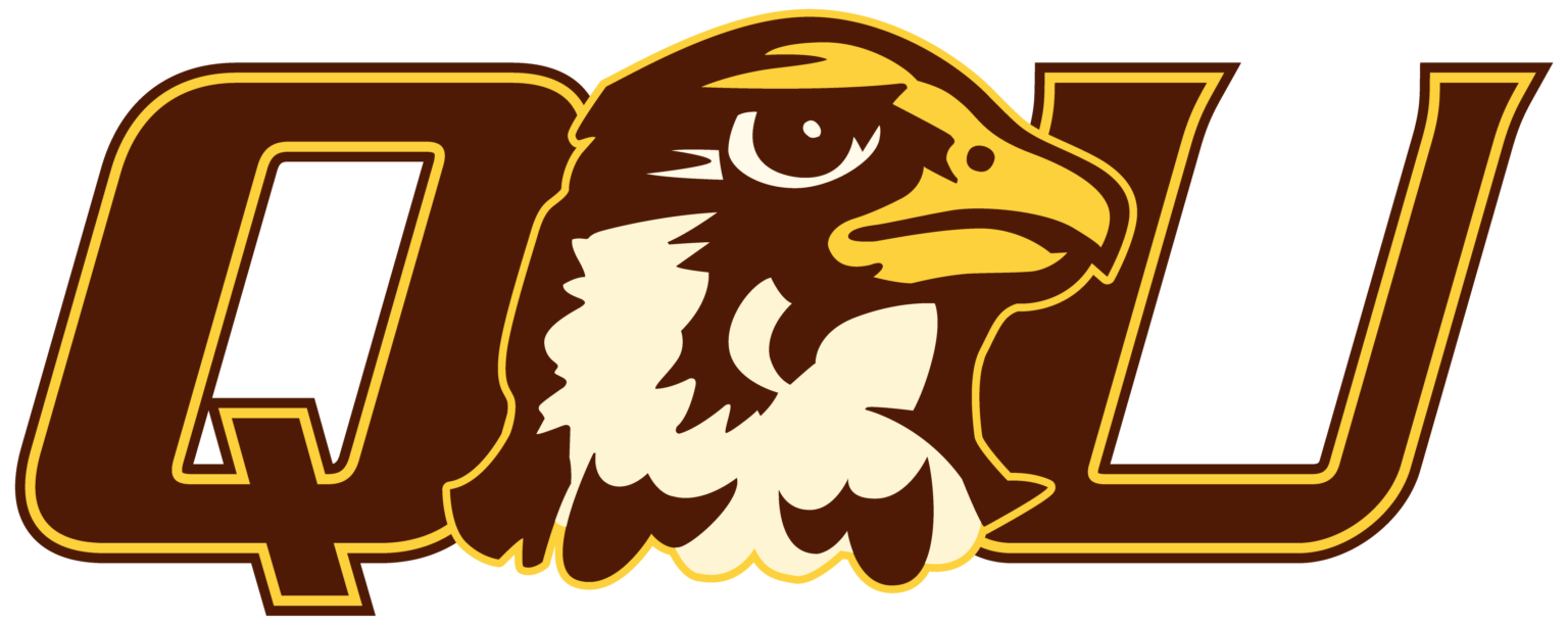 Quincy Hawks Color Codes Hex, RGB, and CMYK - Team Color Codes