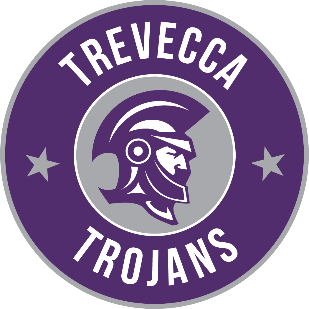 Trevecca Nazarene Trojans Color Codes Hex, RGB, and CMYK - Team Color Codes