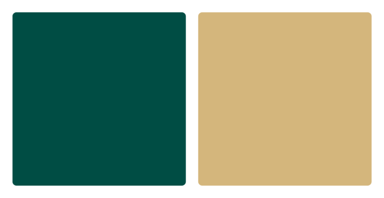 Bemidji State Beavers Color Codes Hex, RGB, and CMYK - Team Color Codes