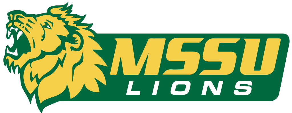 Missouri Southern Lions Color Codes Hex, RGB, and CMYK - Team Color Codes