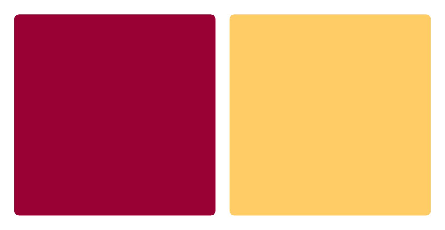 Northern State Wolves Color Codes Hex, RGB, and CMYK - Team Color Codes