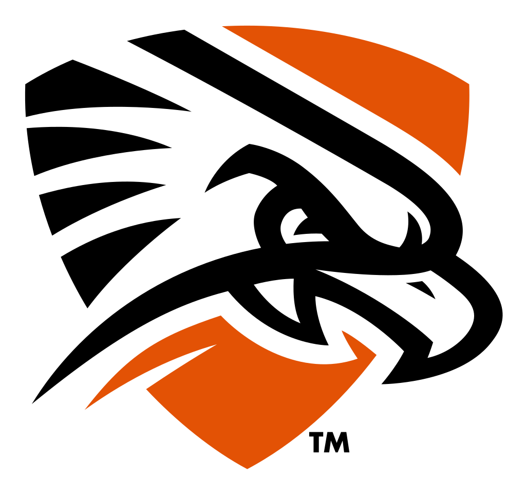 Texas–Permian Basin Falcons Color Codes Hex, RGB, and CMYK - Team Color ...