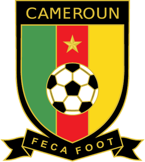 Cameroon National Football Team Color Codes Hex, RGB, and CMYK - Team ...