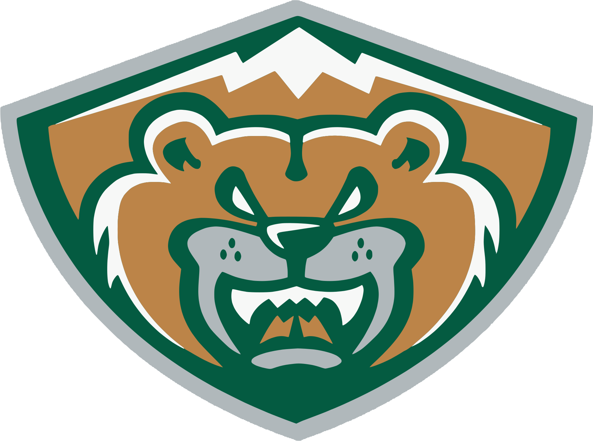 Everett Silvertips Color Codes Hex, RGB, and CMYK - Team Color Codes