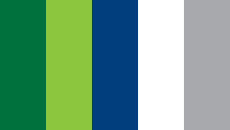 Florida Everblades Color Codes Hex, RGB, and CMYK - Team Color Codes