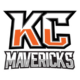 Kansas City Mavericks Color Codes Hex, RGB, and CMYK - Team Color Codes