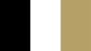 Wheeling Nailers Color Codes Hex, RGB, and CMYK - Team Color Codes
